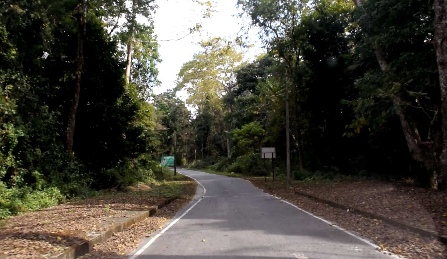 Gorumara to Buxa Tiger Reserve tour via Pokhri Lake in Dooars - Explore ...