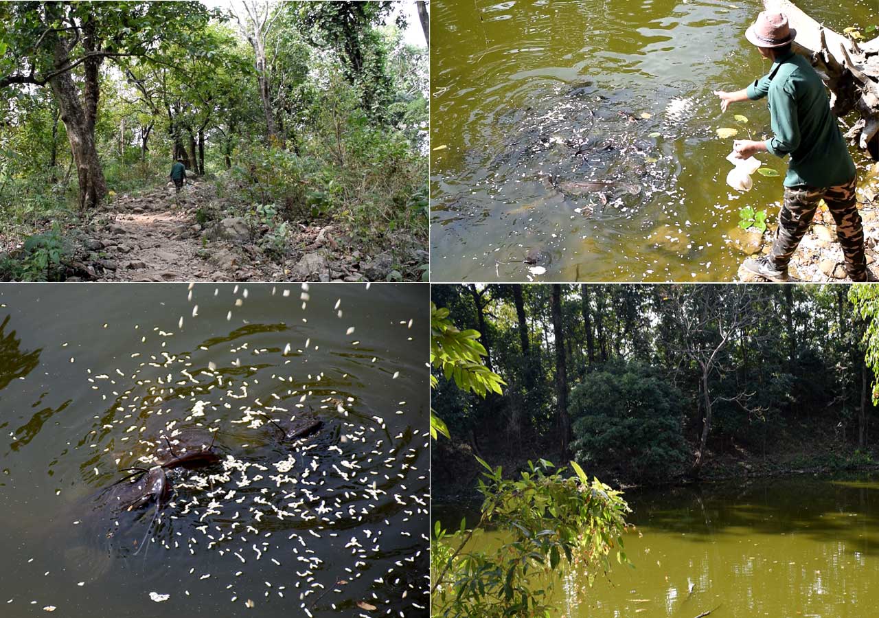 Gorumara to Buxa Tiger Reserve tour via Pokhri Lake in Dooars - Explore ...